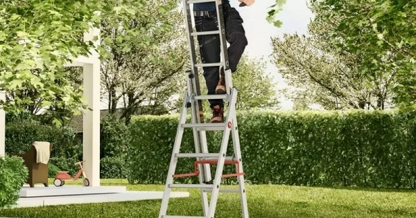 Multi-purpose ladders